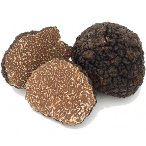 Fresh black Burgundy truffles Uncinatum A-grade